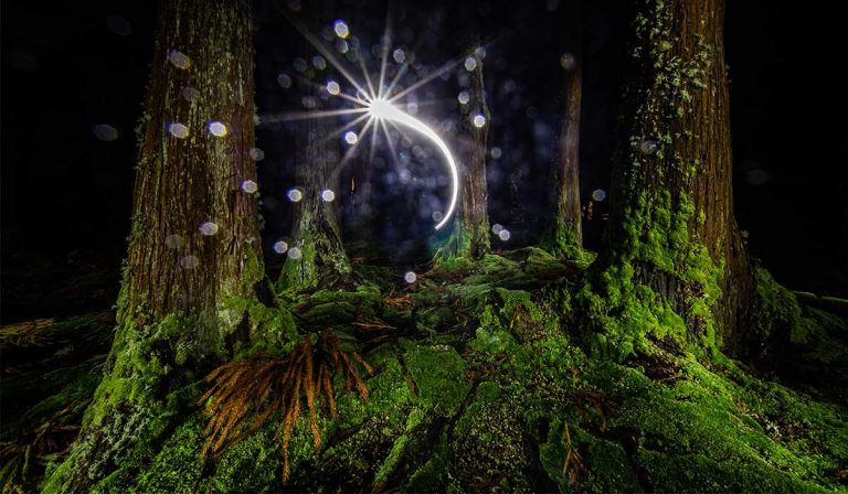 Light Painting trip to the Azores - Gunnar Heilmann Photography